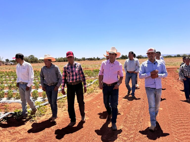 Supervisa Pepe Saldívar aplicación de implementos agrícolas | Periódico ...